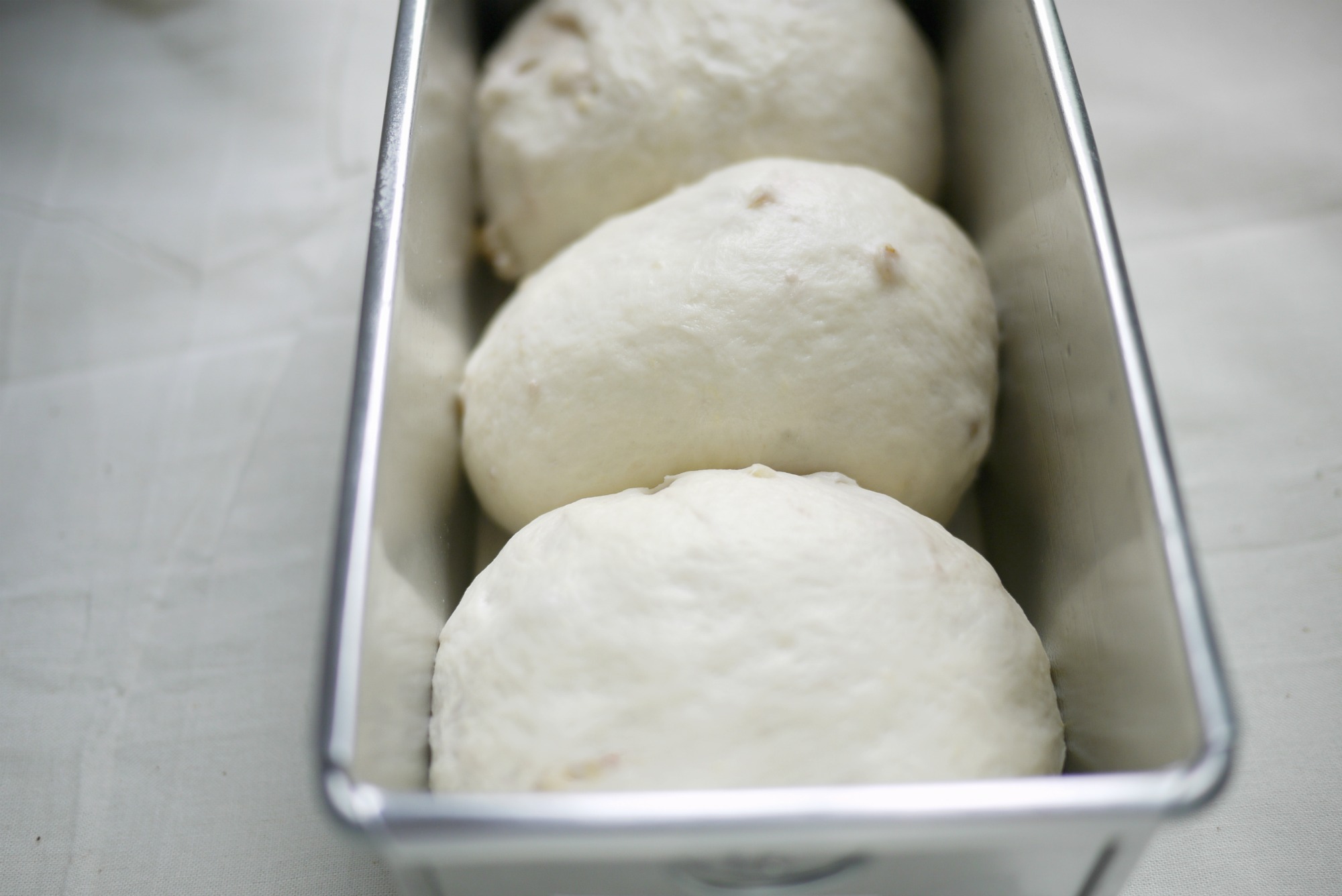 Make Them Softer : Mini Walnut Bread Rolls – MONO and CO