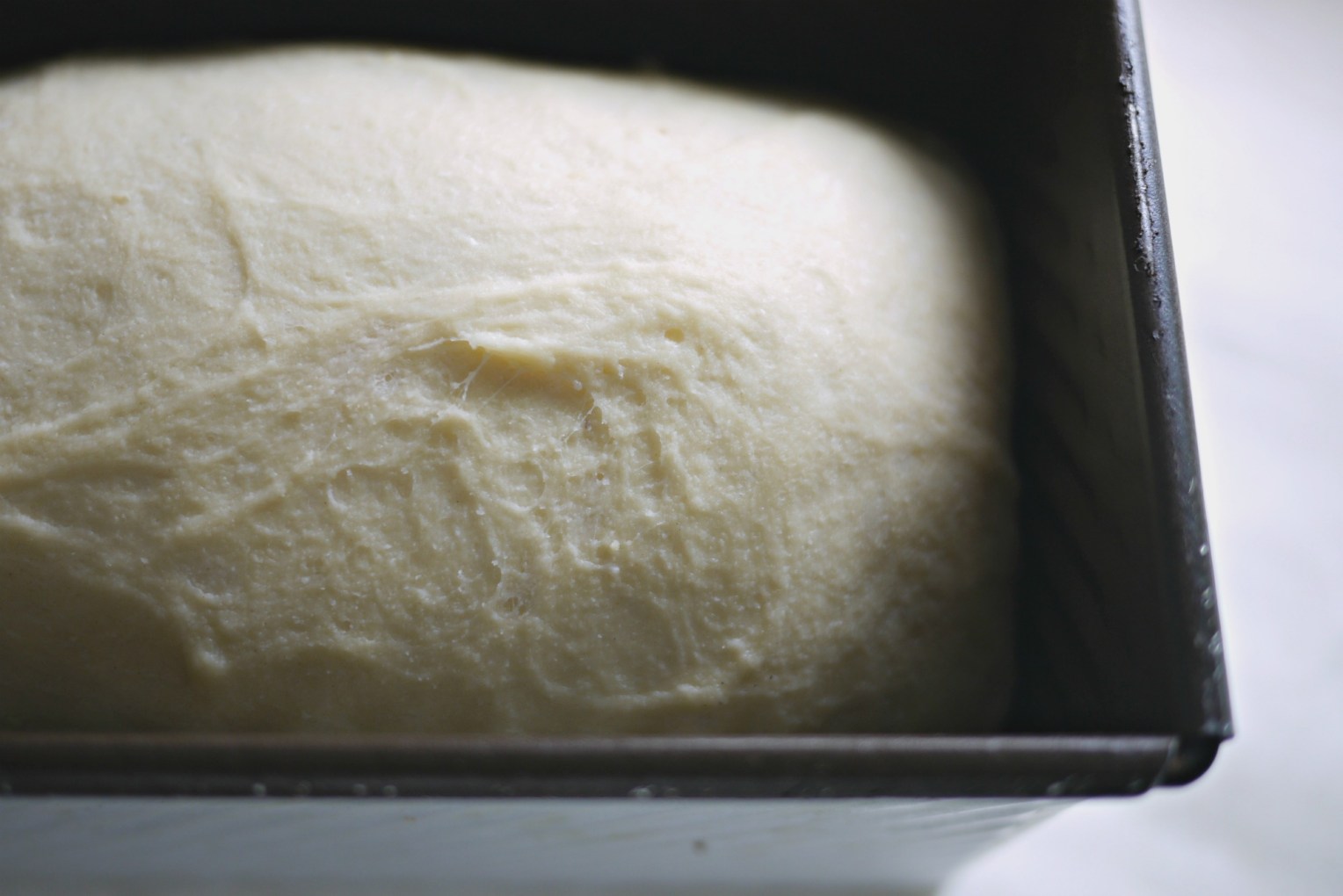 Okara Bread Loaf – MONO and CO