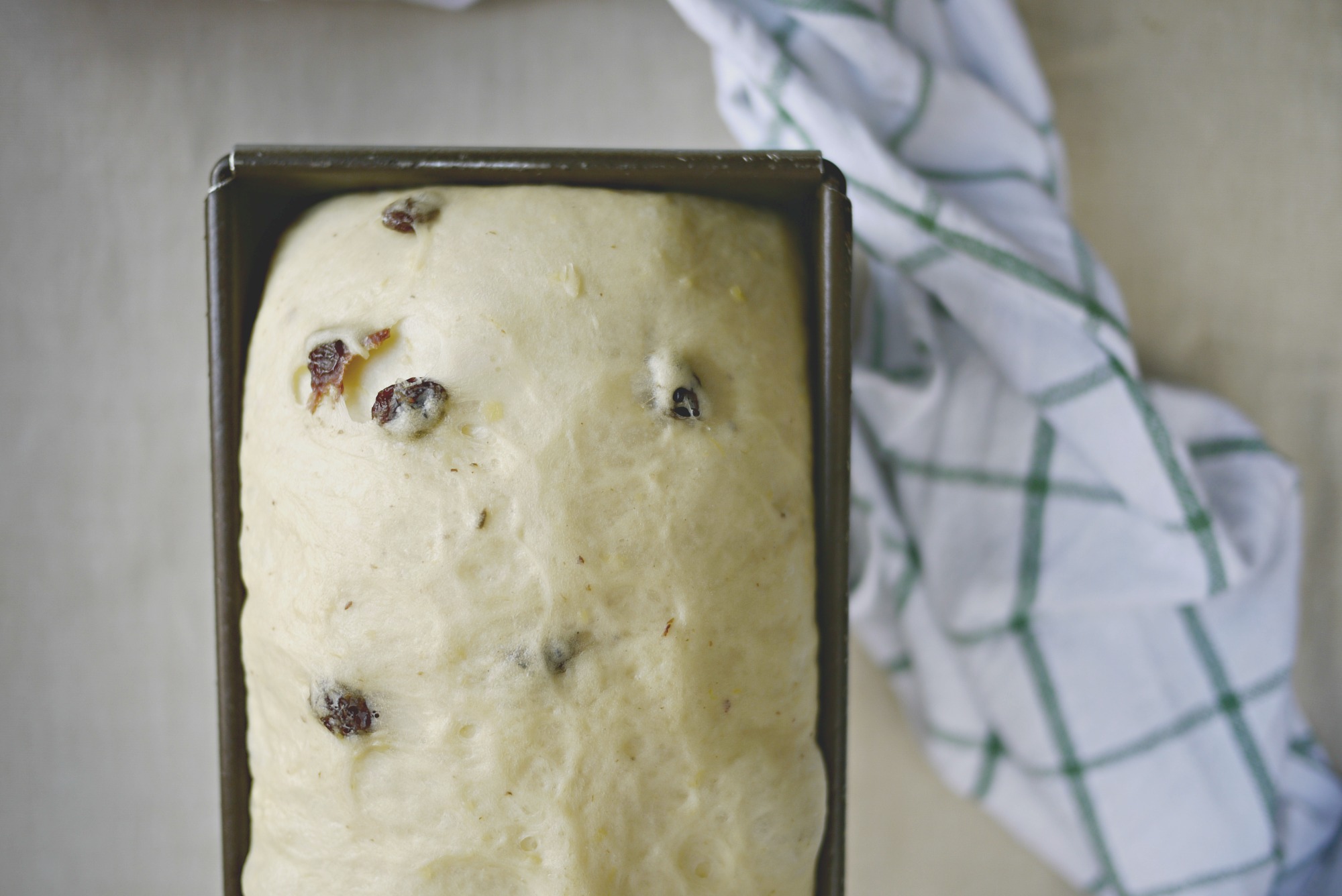 Raisin Potato Bread Loaf – MONO and CO