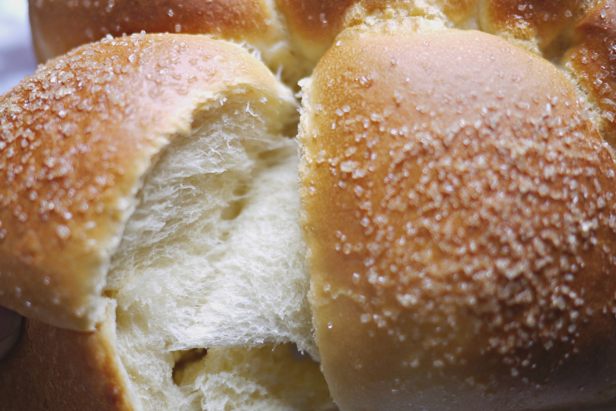 Sugar Topped Pull Apart Buns – MONO and CO