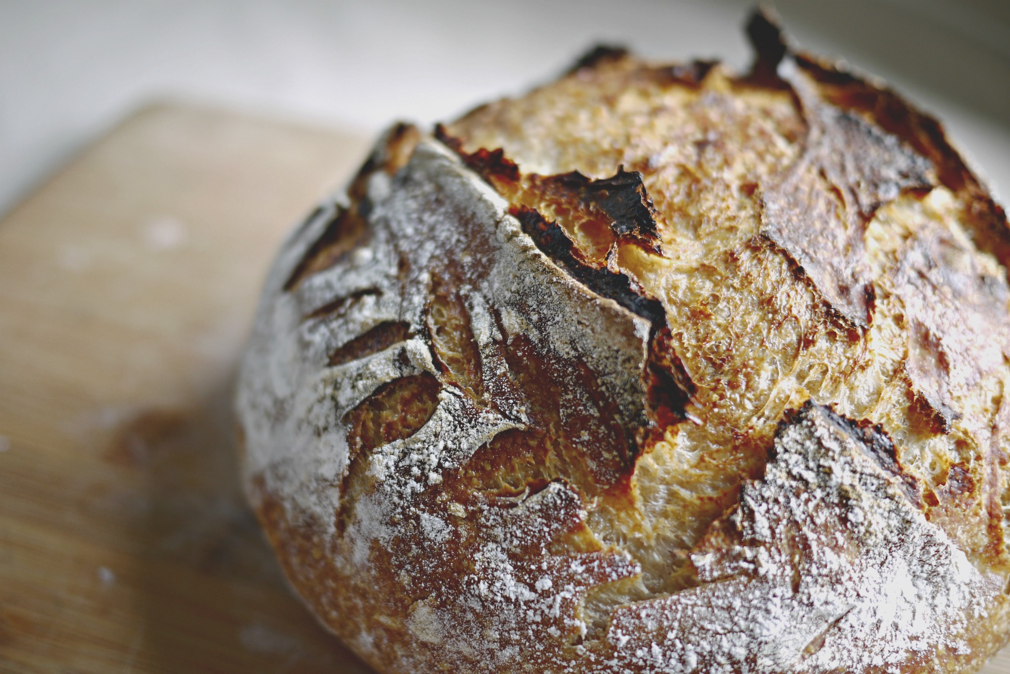 natural yeast bread – MONO and CO