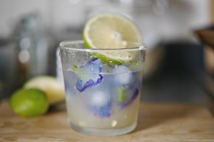 Blue Butterfly Pea Flower Lemonade – MONO and CO
