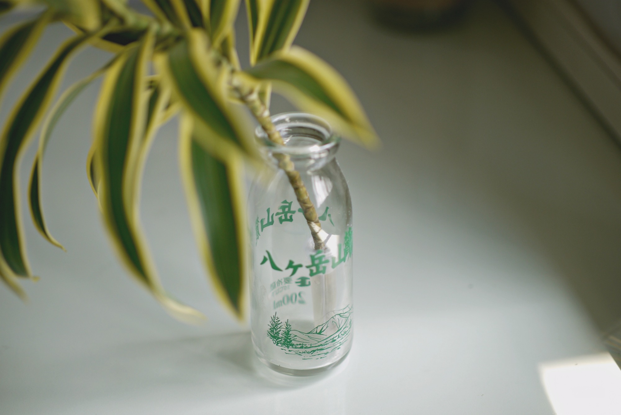 Reuse And Repurpose : Glass Jars and Bottles – MONO and CO