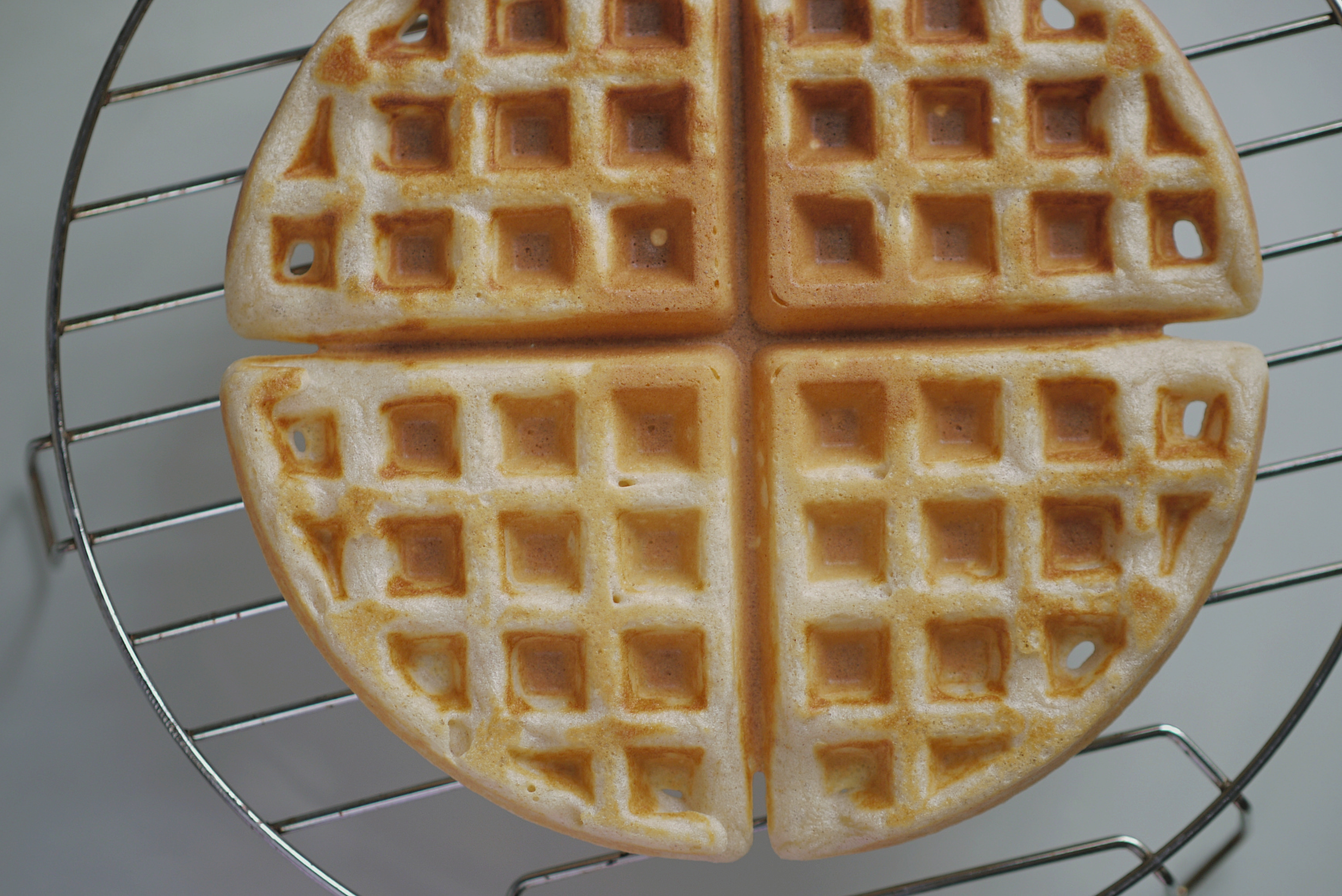 My 152 Waffle Days – MONO and CO