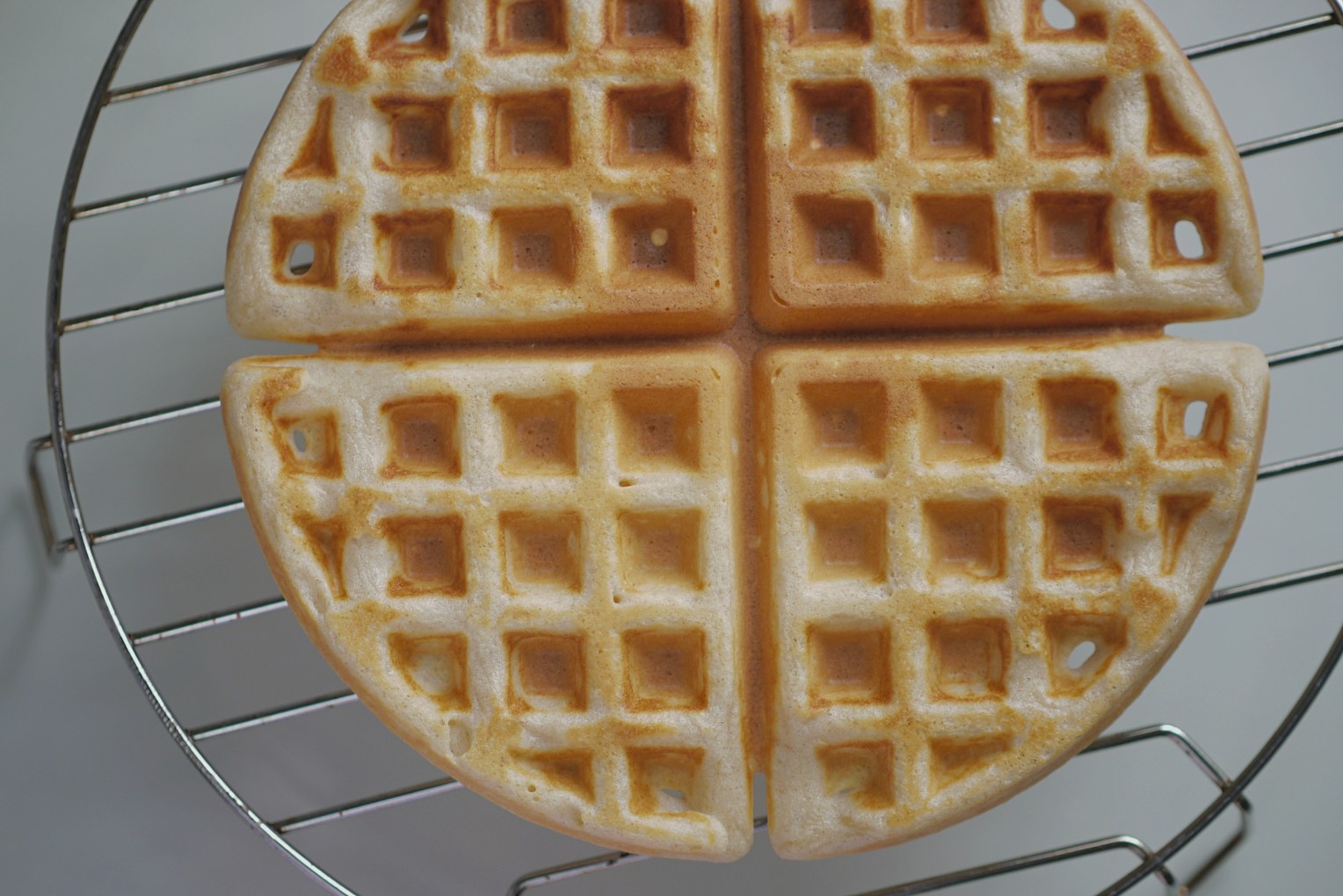 My 152 Waffle Days – MONO and CO
