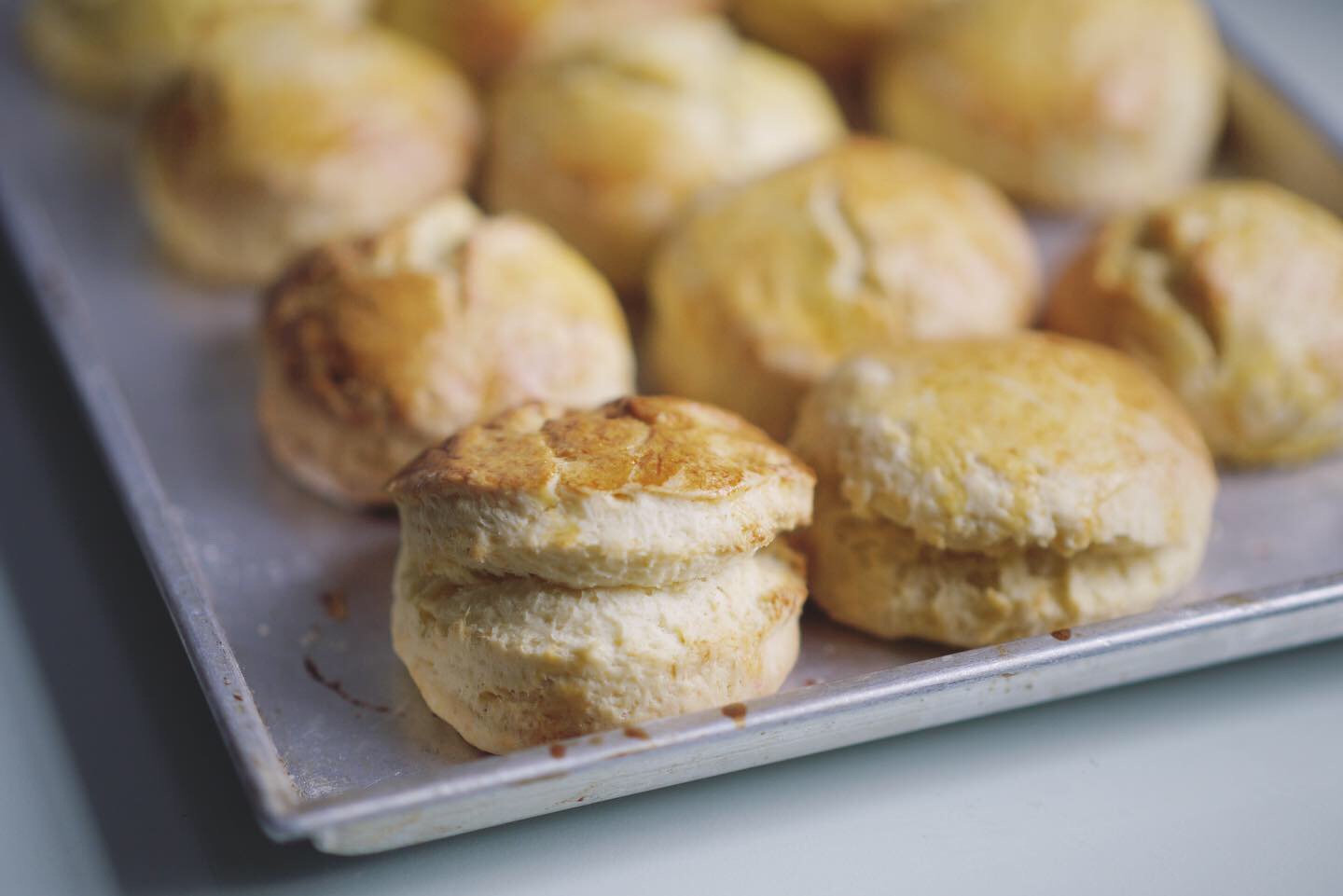 The only scone recipe I bake with – A Failed Attempt – MONO and CO