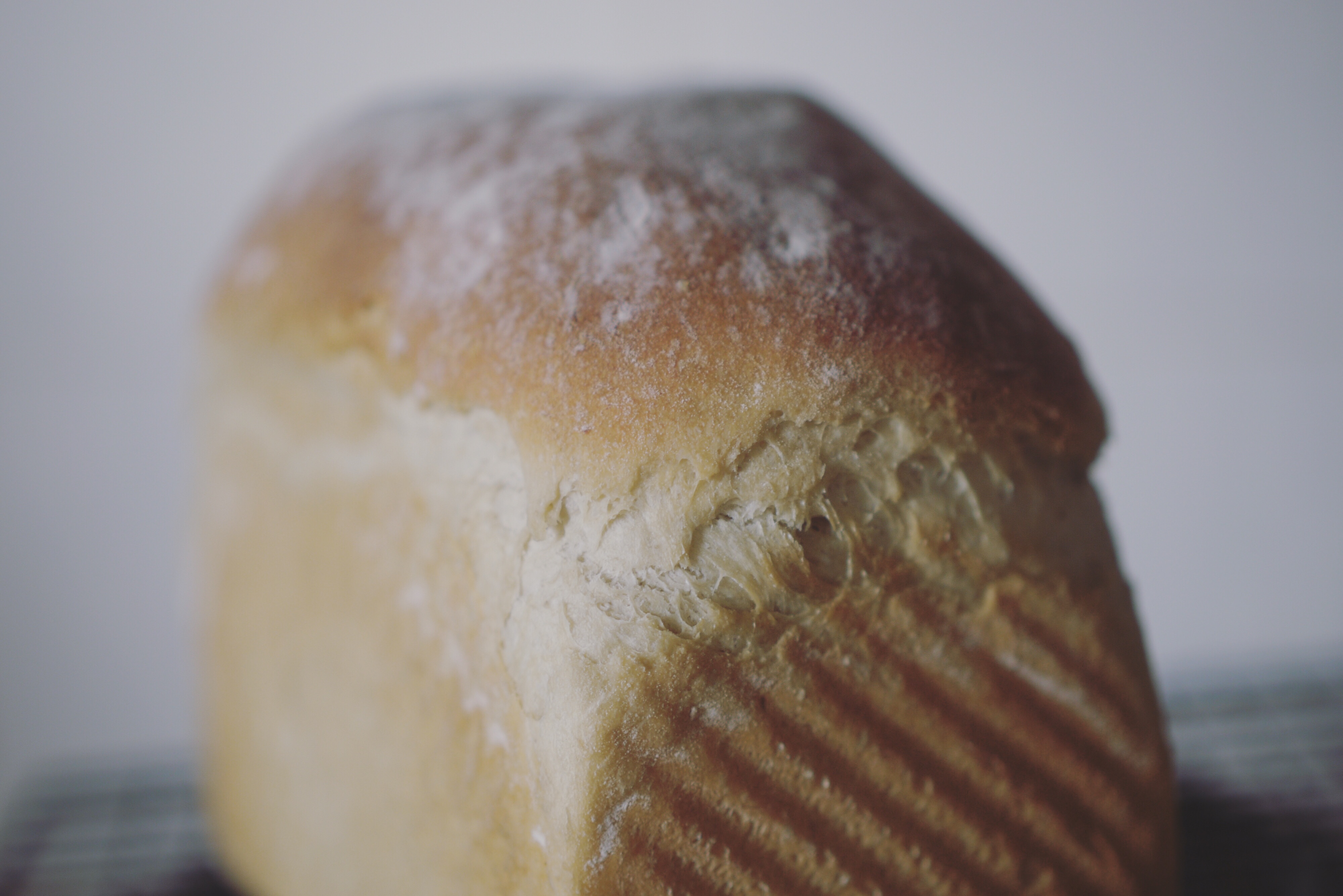 taro bread – MONO and CO
