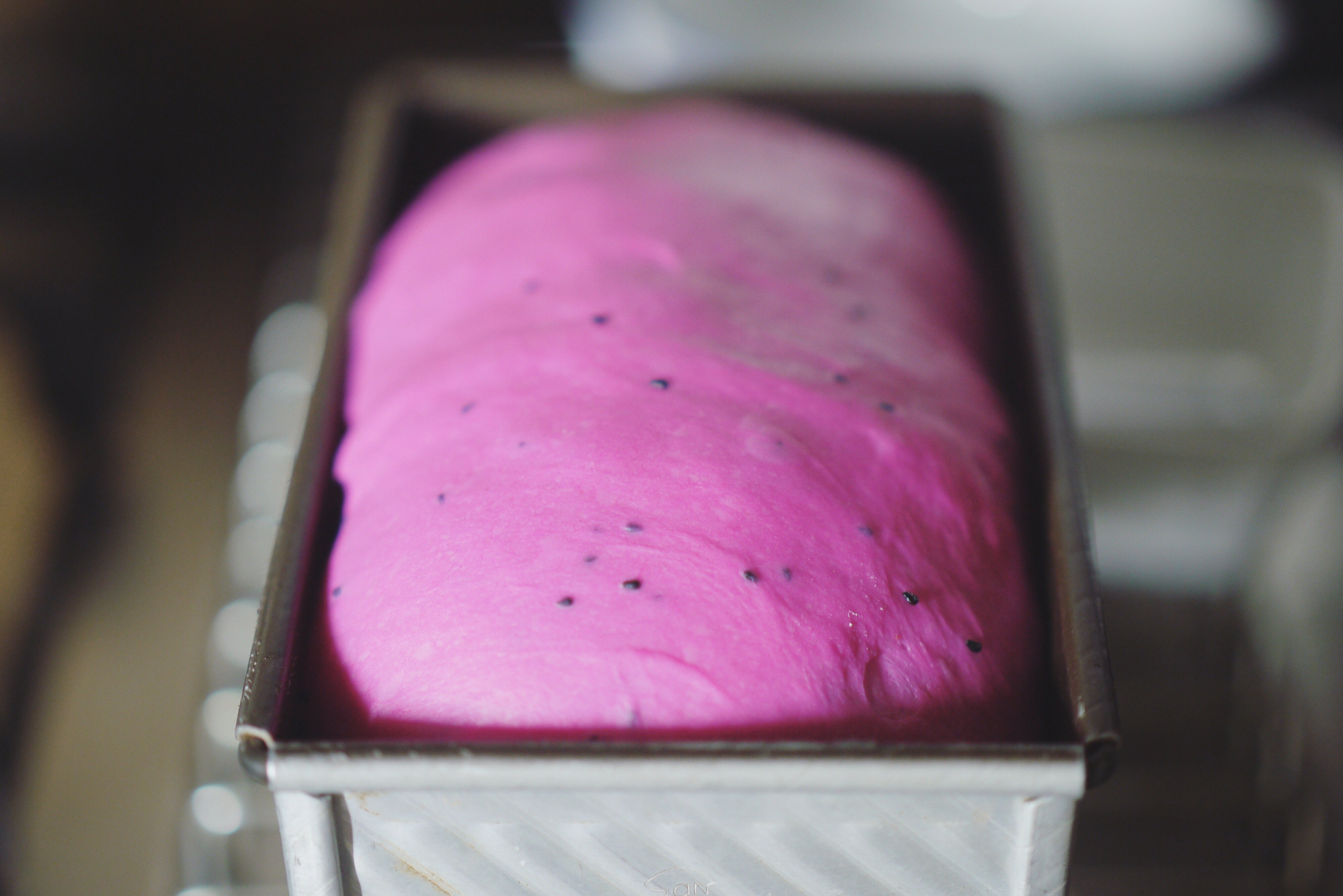 Red Dragon Fruit Bread Loaf – MONO and CO